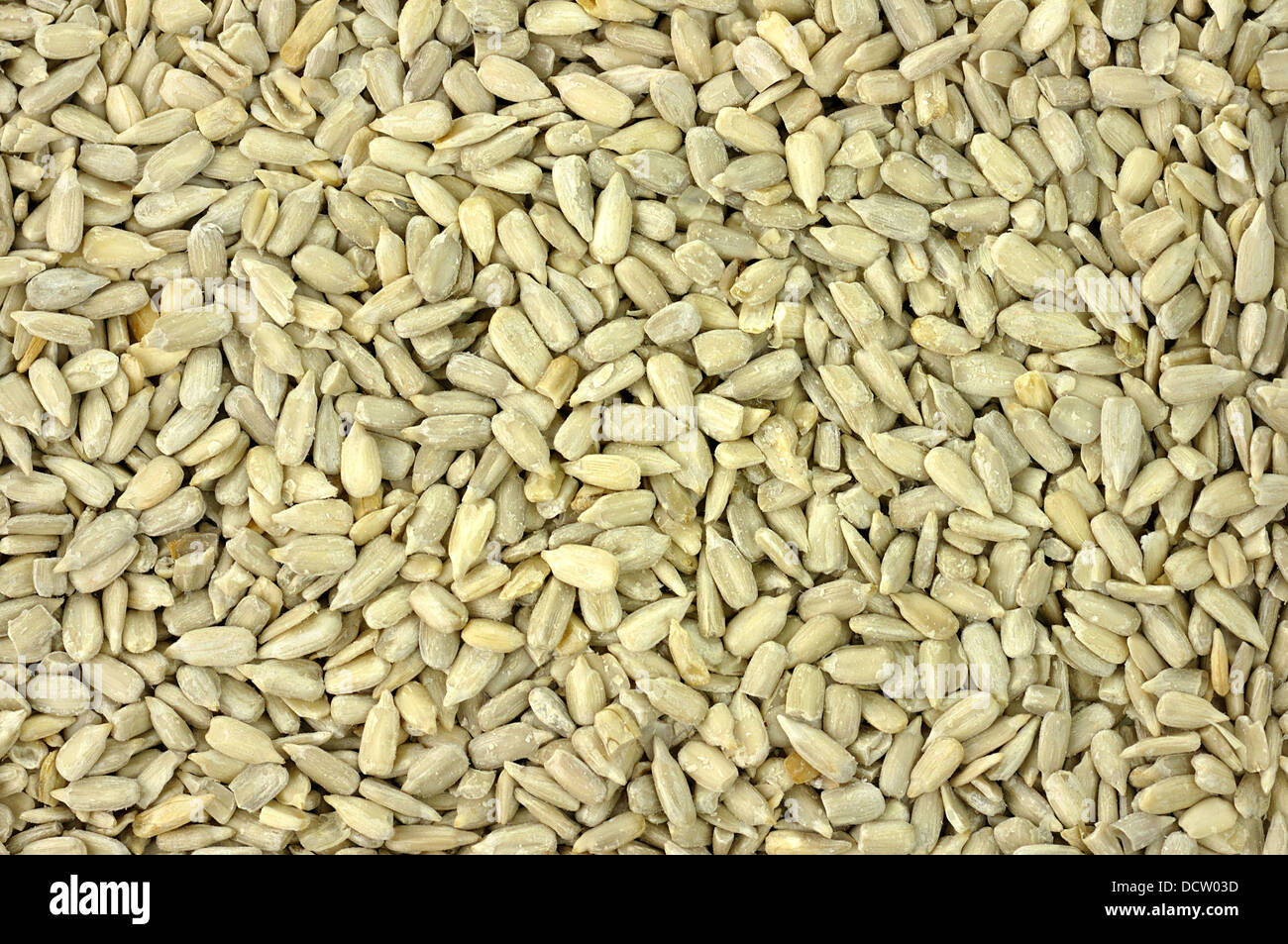 sunflower seeds background Stock Photo - Alamy