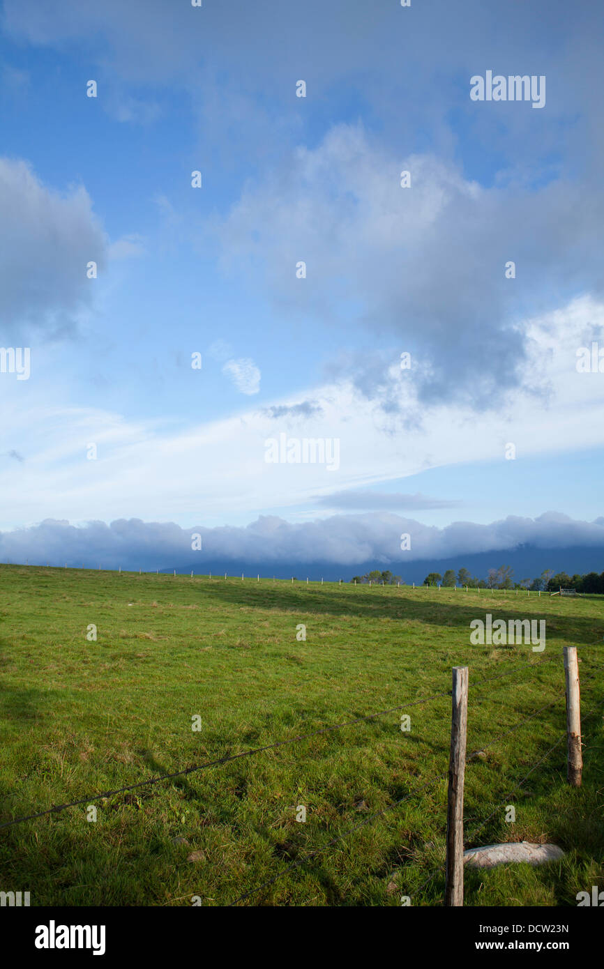 Massachusetts farm on a beautiful sunny August day Stock Photo - Alamy