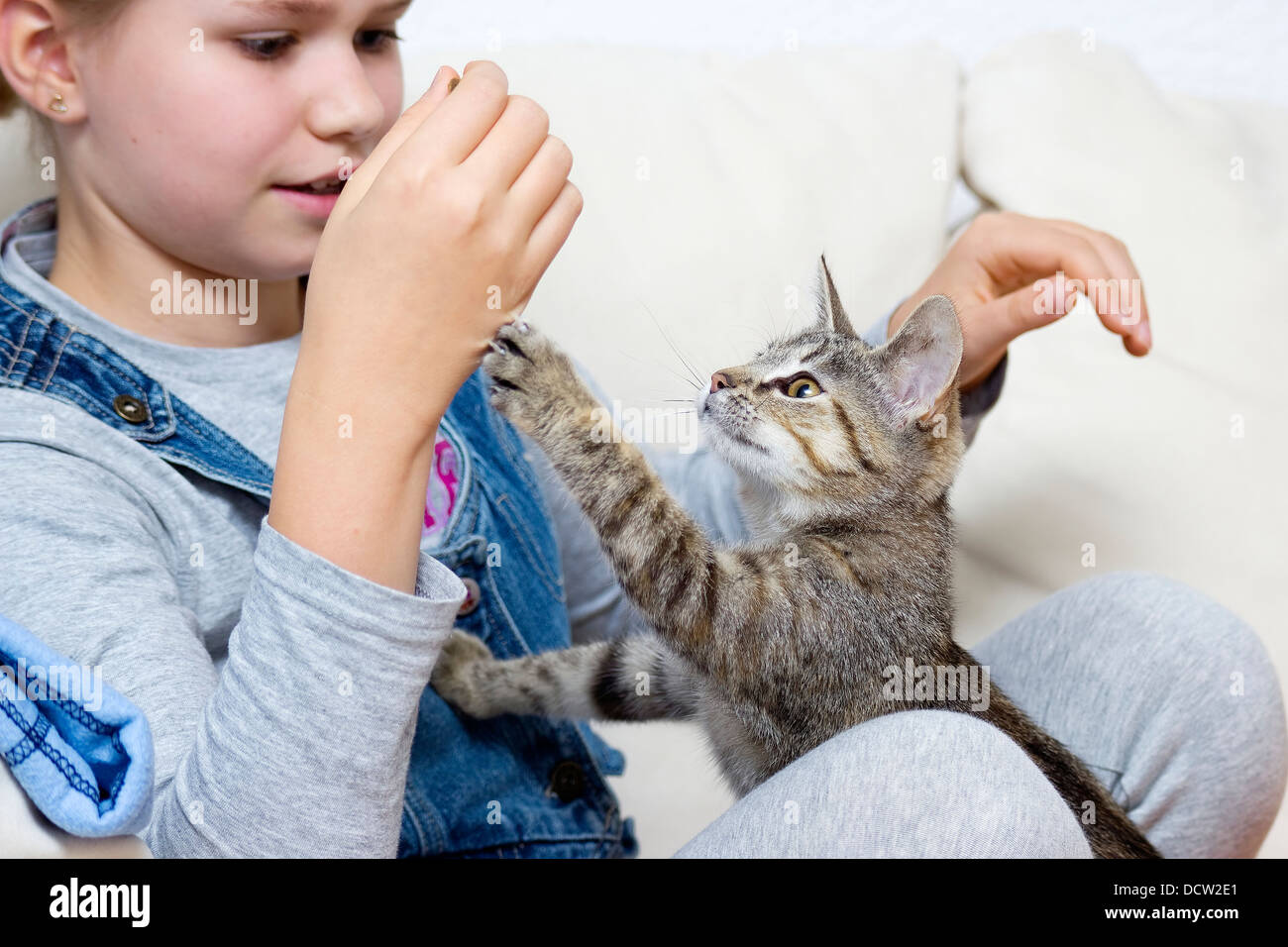 a girl is playing with a kitten Stock Photo - Alamy