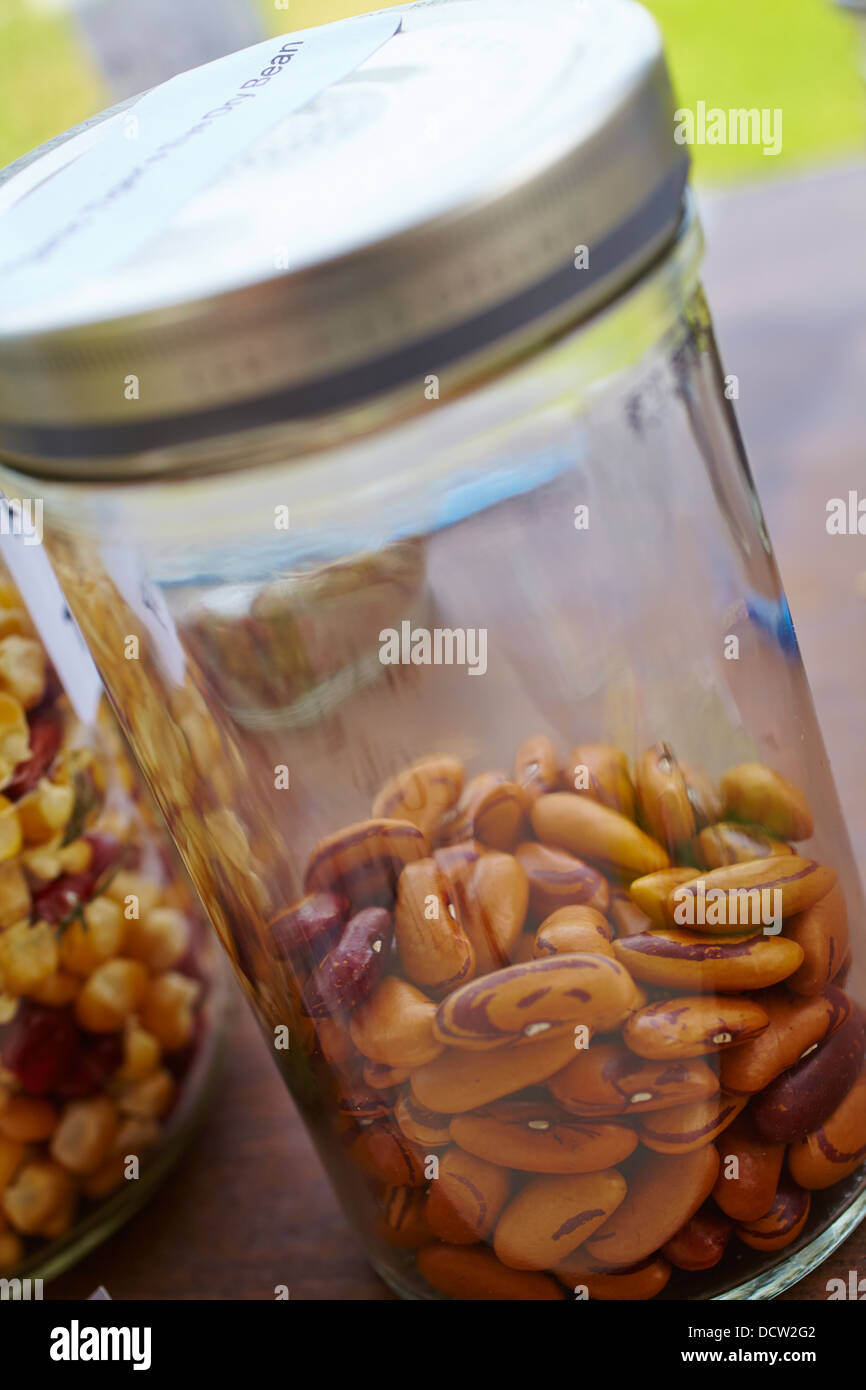 Saved tigers hi-res stock photography and images - Alamy