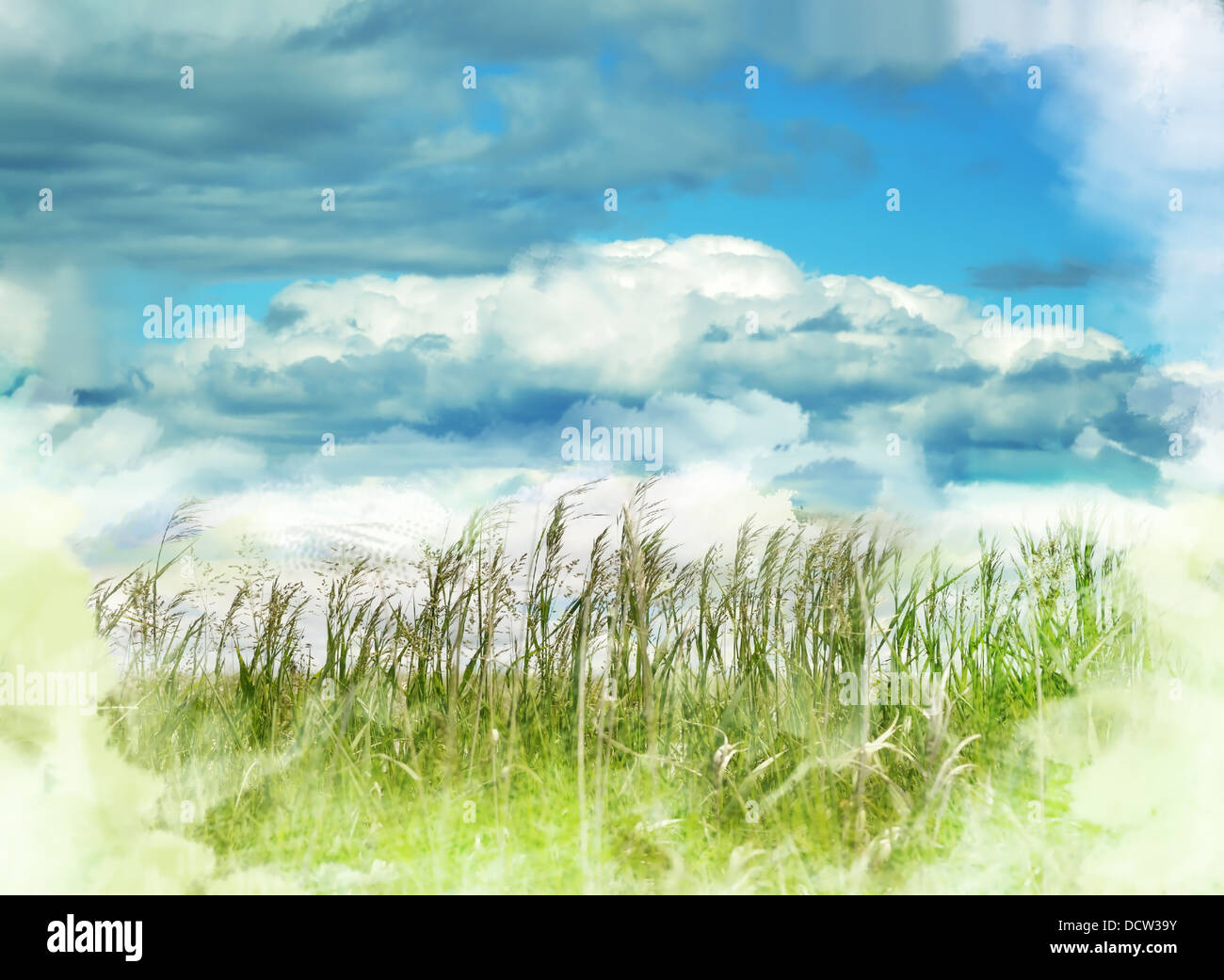 nature abstract background Stock Photo - Alamy