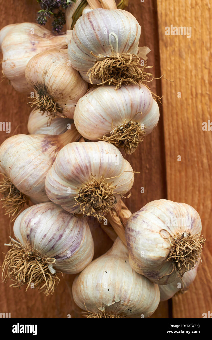 The braid hi-res stock photography and images - Alamy