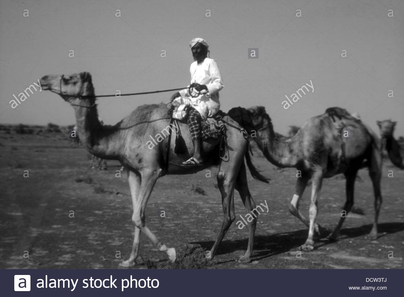 Camel Rider Black and White Stock Photos & Images - Alamy