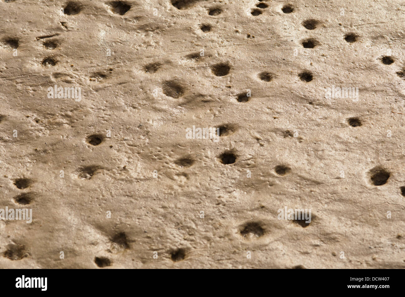 sand details at Ilha do Mel (honey island) Paranagua city, Paraná state ...