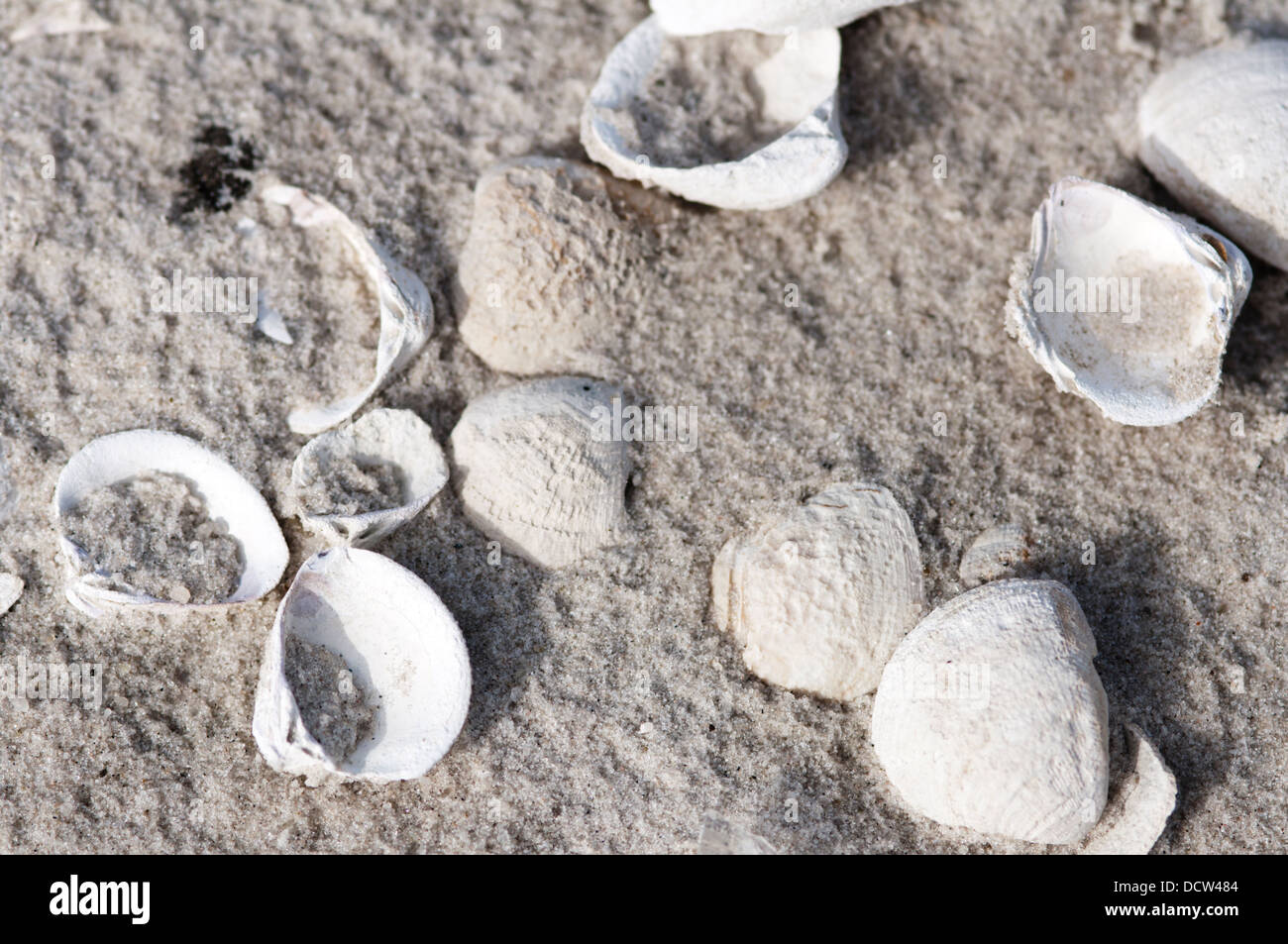 sand details at Ilha do Mel (honey island) Paranagua city, Paraná state ...