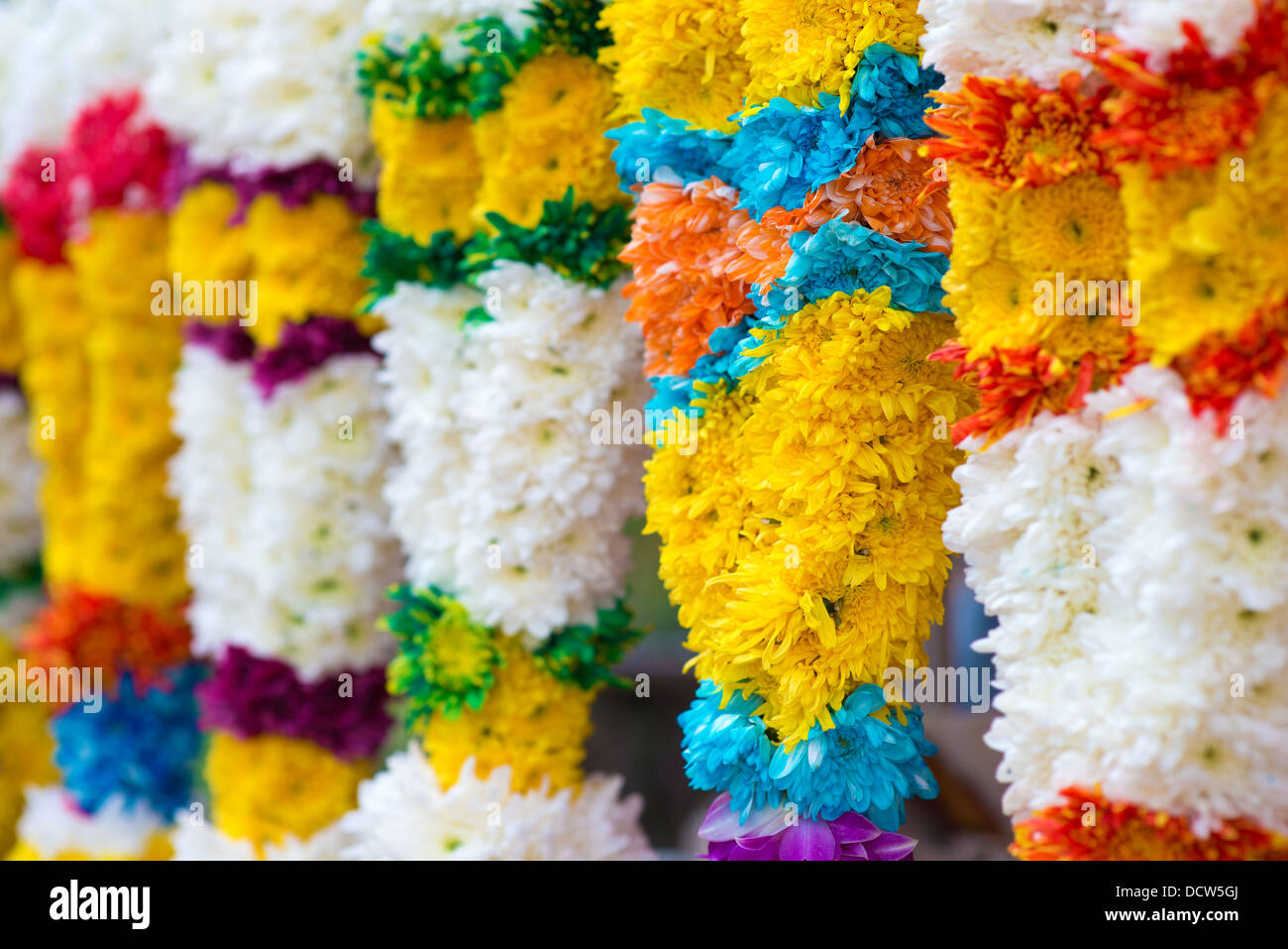 Indian colorful flower garlands for sales during diwali festival Stock ...