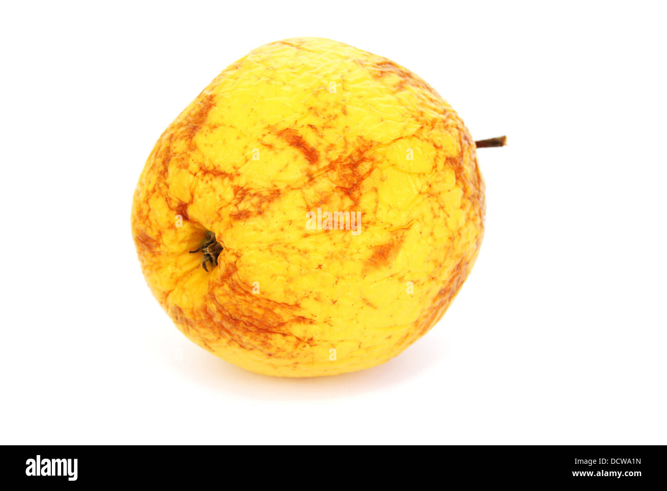 Rotten golden apple Cut Out Stock Images & Pictures - Alamy