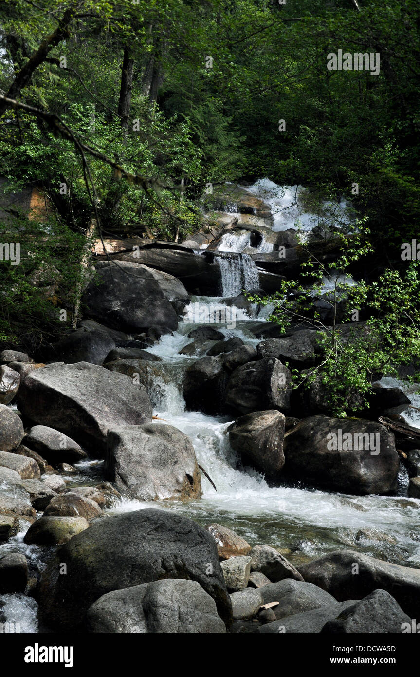 A stream at Shannon Falls in Squamish near Whistler, BC Stock Photo - Alamy