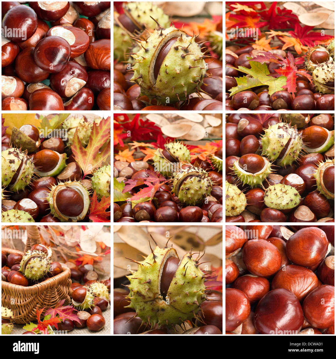 Autumn collage with different pictures Stock Photo - Alamy