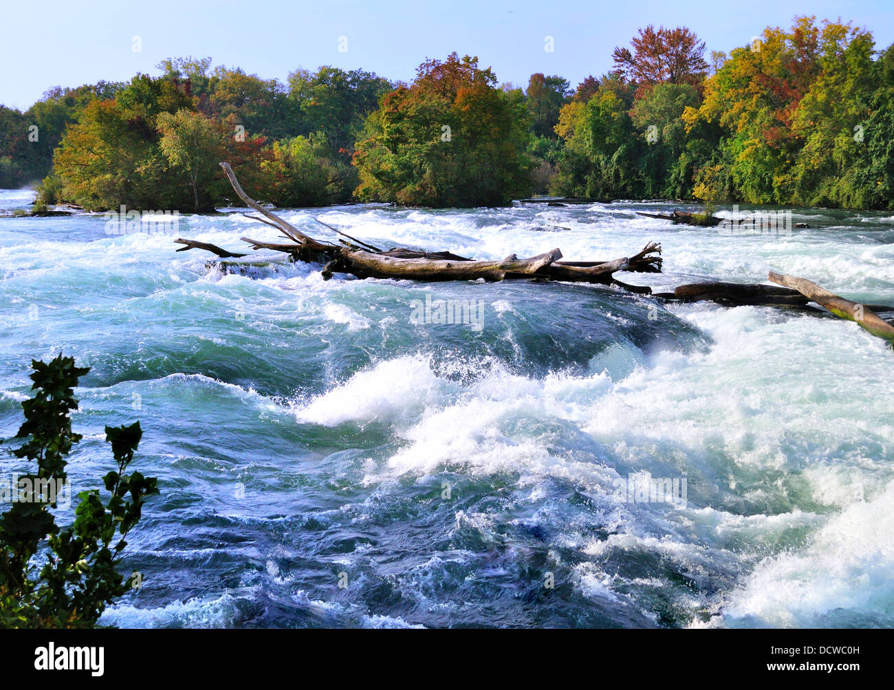 mountain river rapids in autumn Stock Photo - Alamy