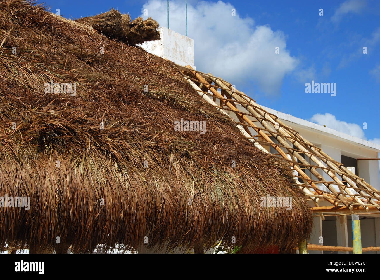 Roof partly thatched, Costa Maya, South Eastern Region, Mexico ...