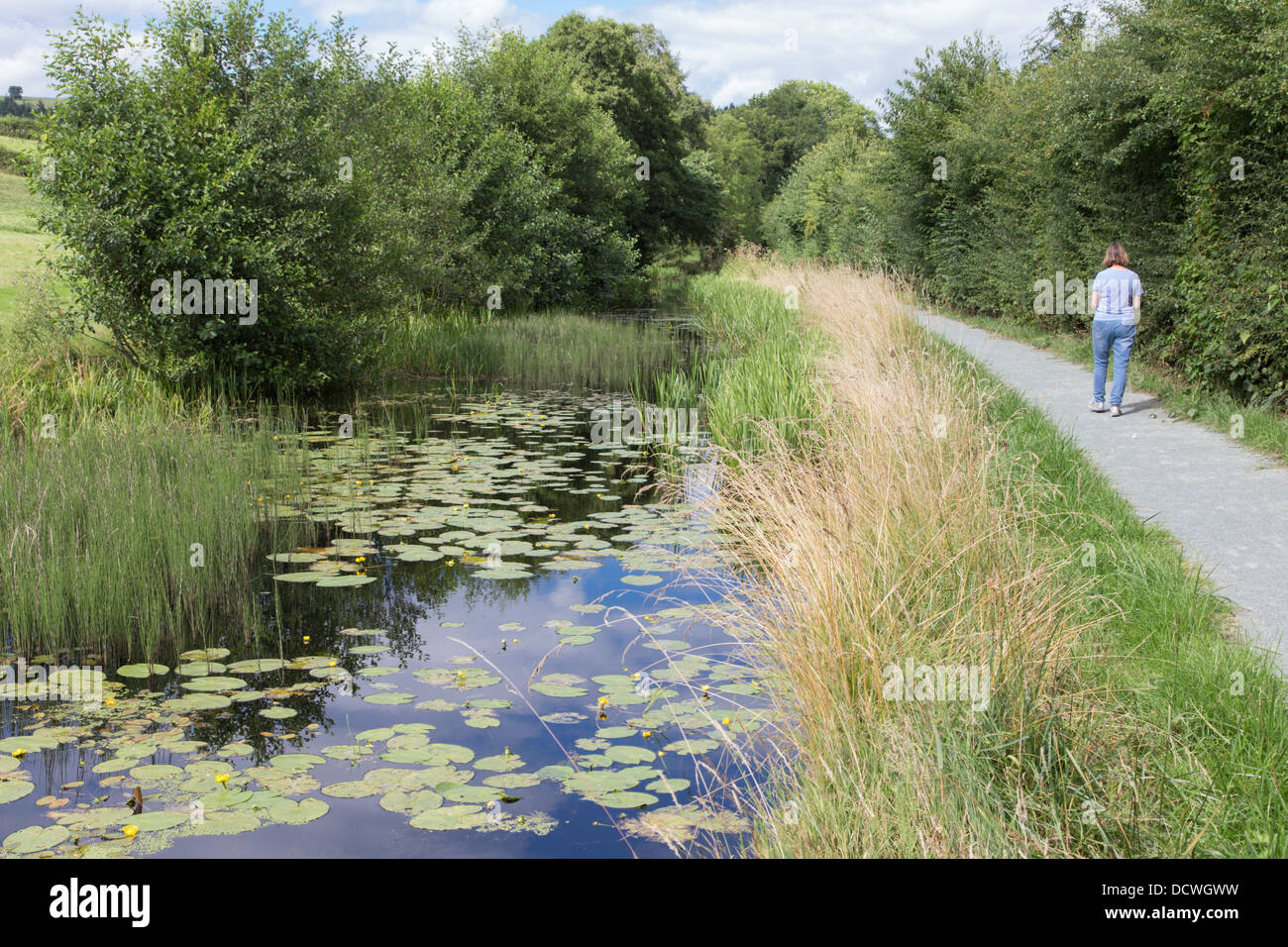 The Montgomery Canal near Welshpool, Powys, Wales, UK Stock Photo - Alamy