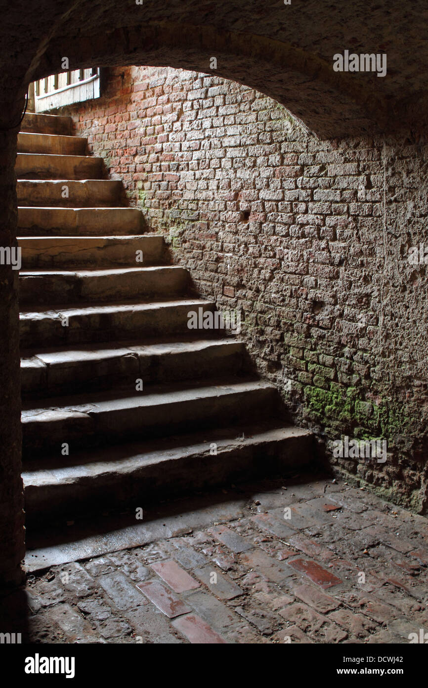 Cellar steps hi-res stock photography and images - Alamy