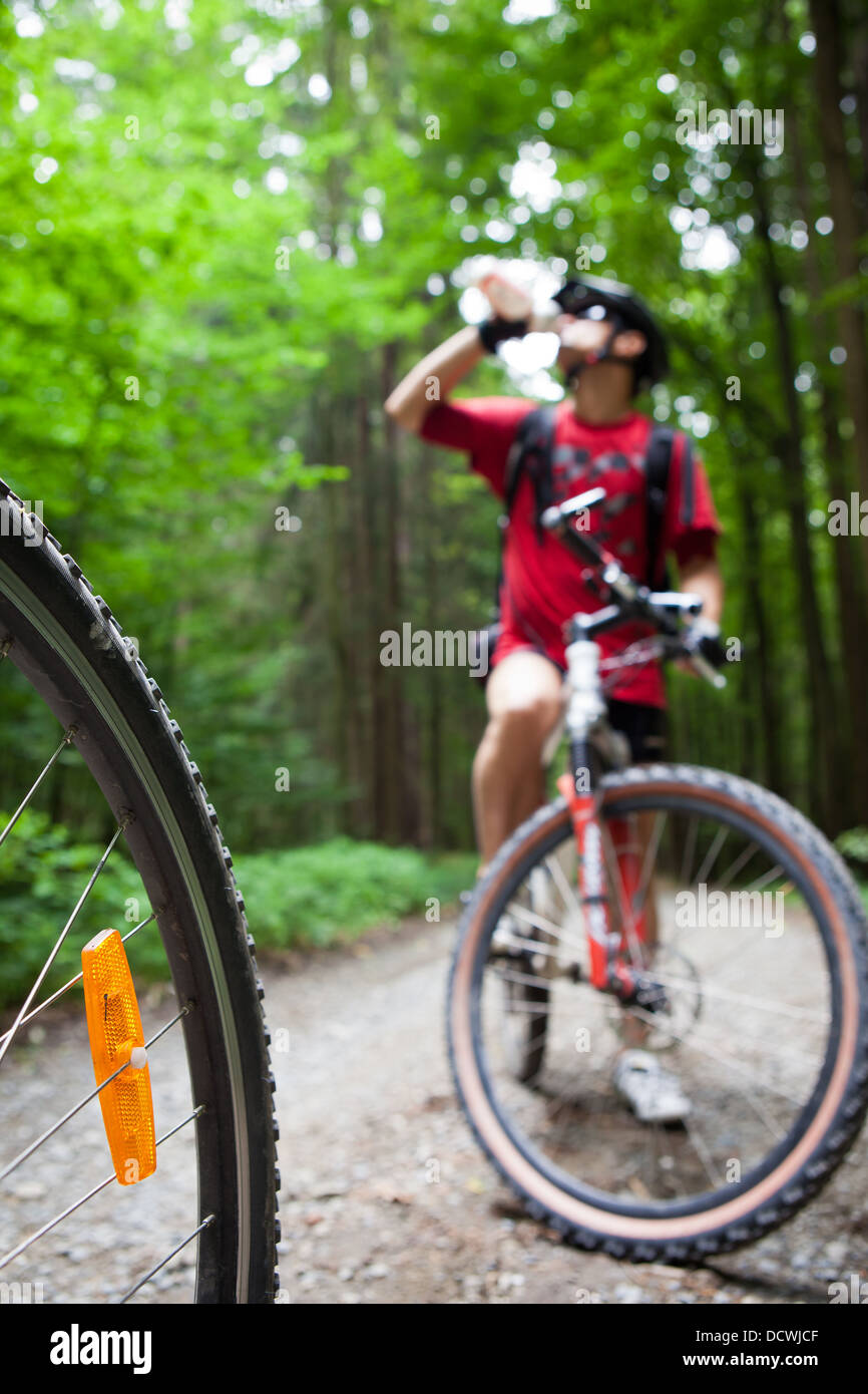 Mountain biking in a forest - bikers on a forest biking trail Stock ...