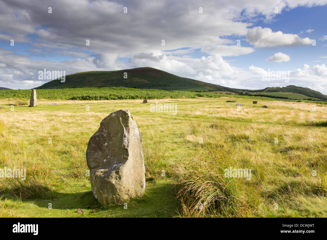 Afternoon light over Mitchell's Fold a Bronze Age stone circle with ...