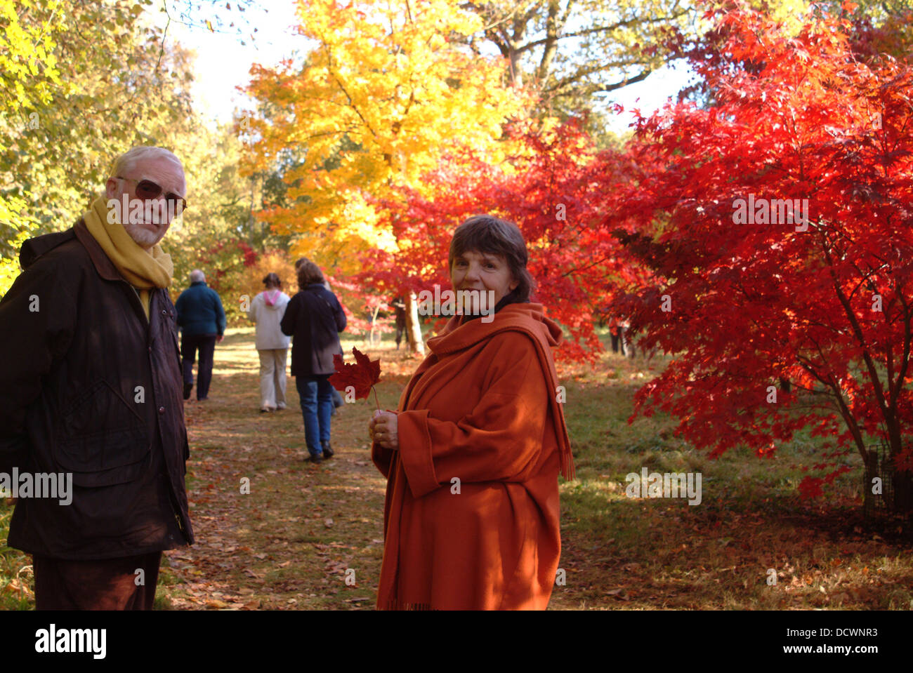 People walking in woodland on a beautiful autumn day, middle age couple ...