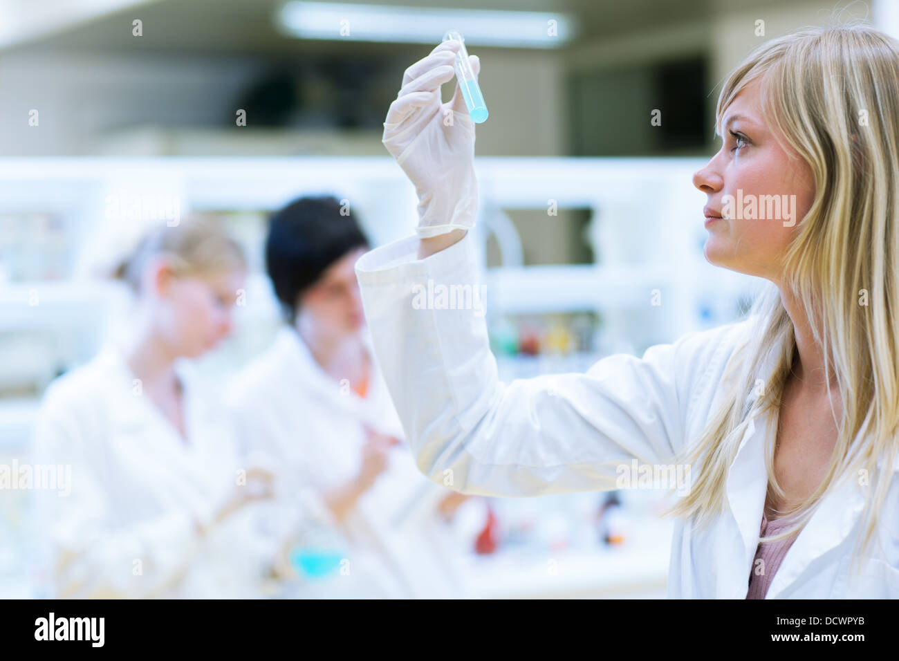 female researcher carrying out research in a chemistry lab Stock Photo ...