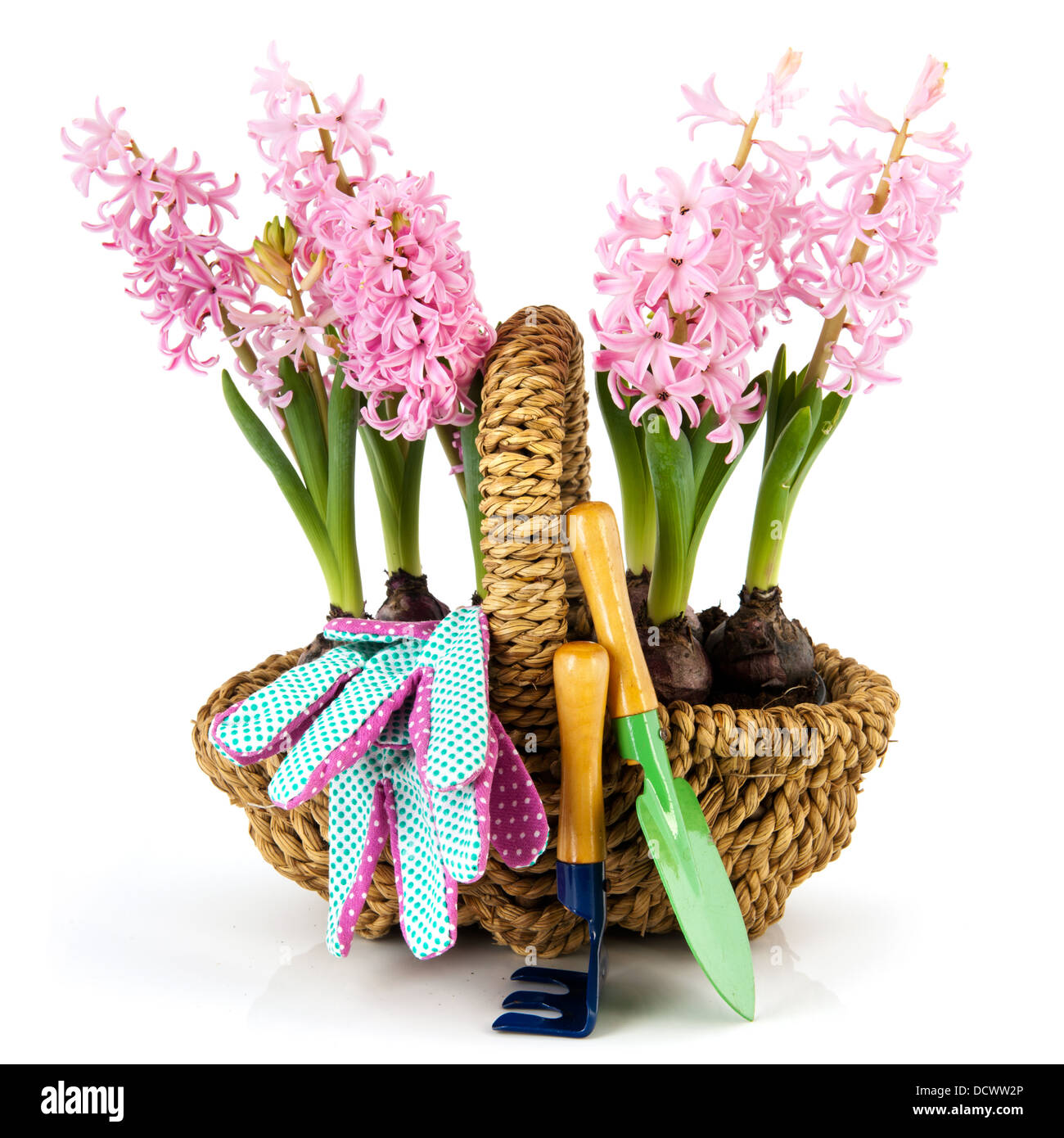 Full spring Cut Out Stock Images & Pictures - Alamy