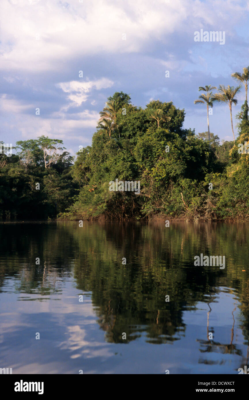 Biological Reserve of Trombetas, Pará, Brazil Stock Photo - Alamy