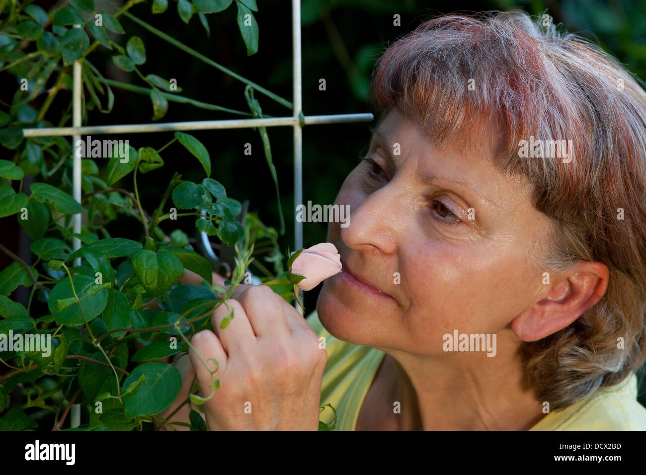 Woman smelling white rose hi-res stock photography and images - Alamy