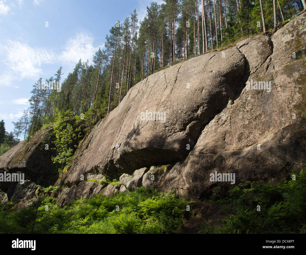 trees, sky and rock Stock Photo - Alamy