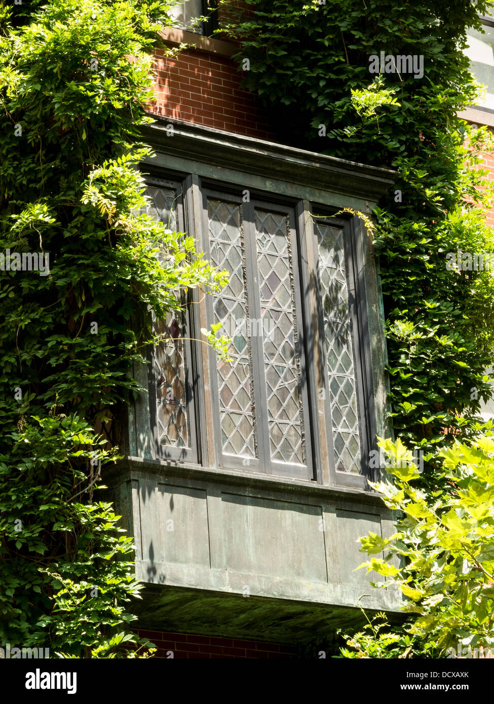 Window Detail, Neighborhood in Greenwich Village, NYC Stock Photo - Alamy