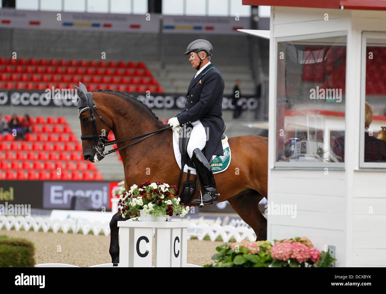 Voss horse hi-res stock photography and images - Alamy