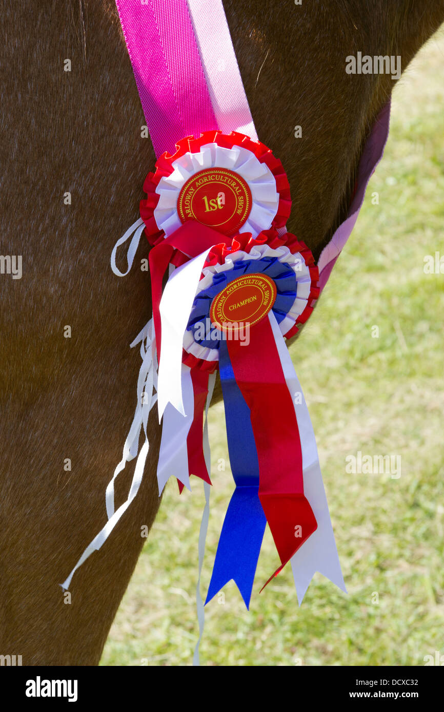First Equestrian Prize at Carloway Primary School Agricultural Show ...