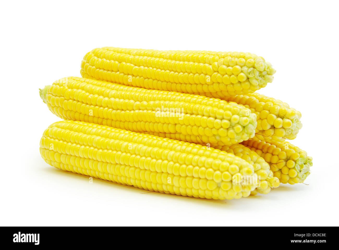 Maize farm Cut Out Stock Images & Pictures - Alamy
