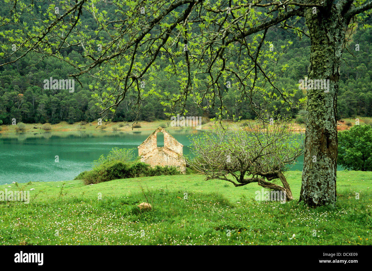 Embalse del Tranco, Parque Natural de Cazorla, Segura y las Villas ...