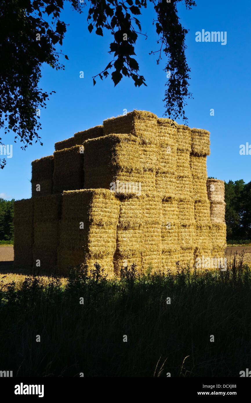 Large haystack hi-res stock photography and images - Alamy