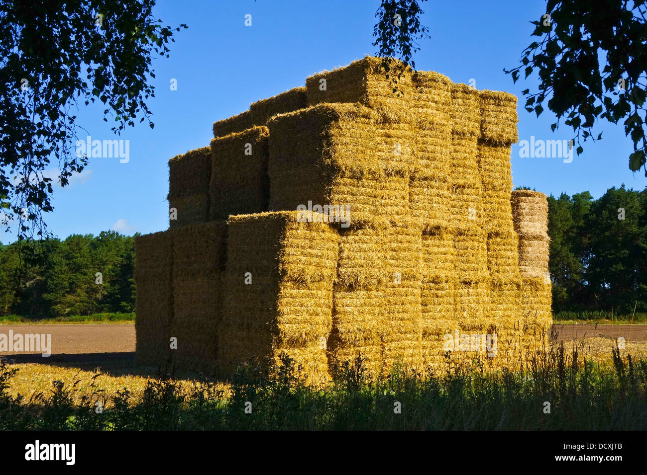 Large haystack hi-res stock photography and images - Alamy