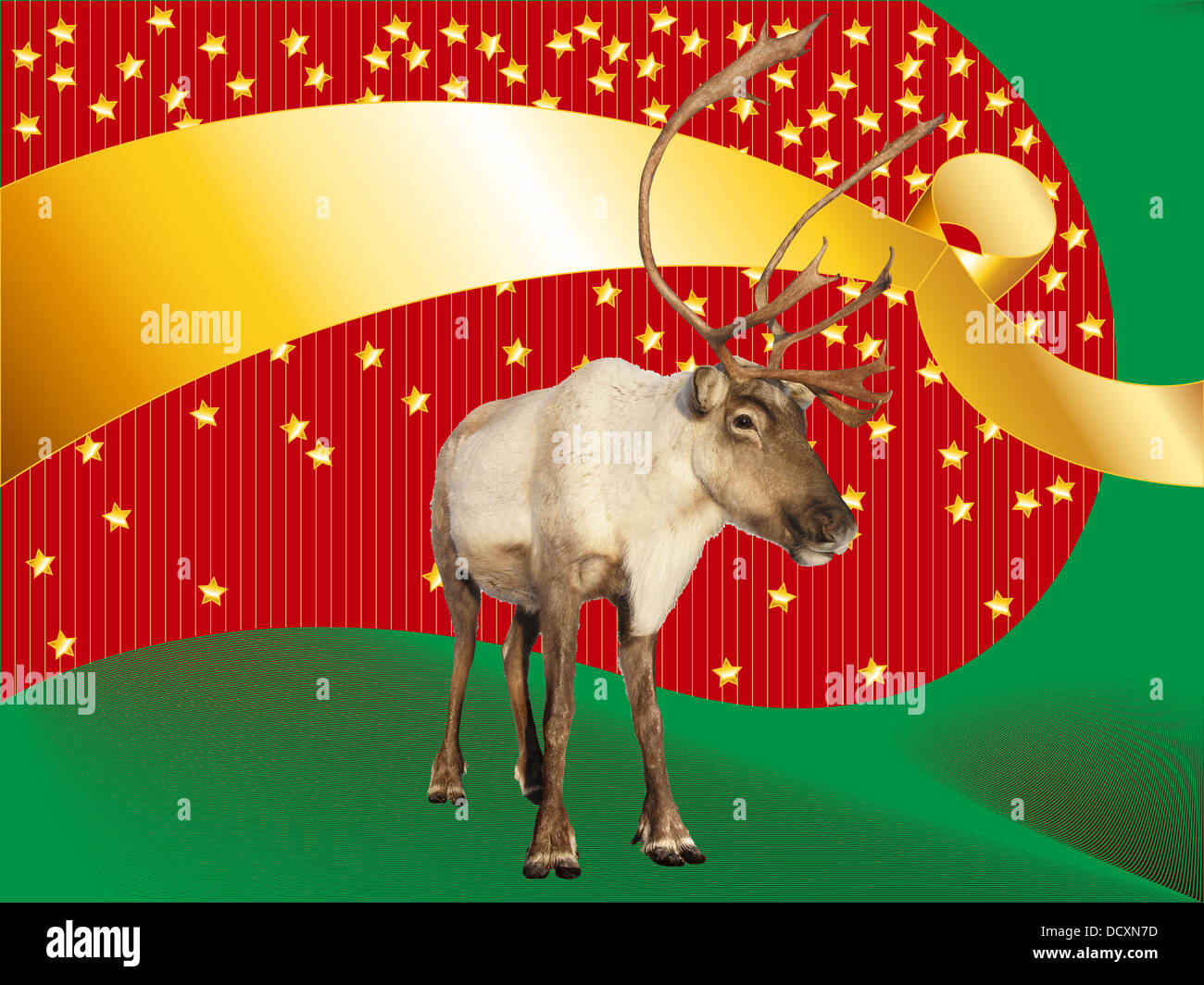 Happy caribou hi-res stock photography and images - Alamy