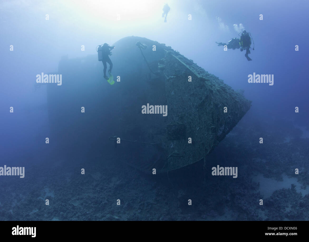 Ship wreck underwater shipwreck scuba hi-res stock photography and ...