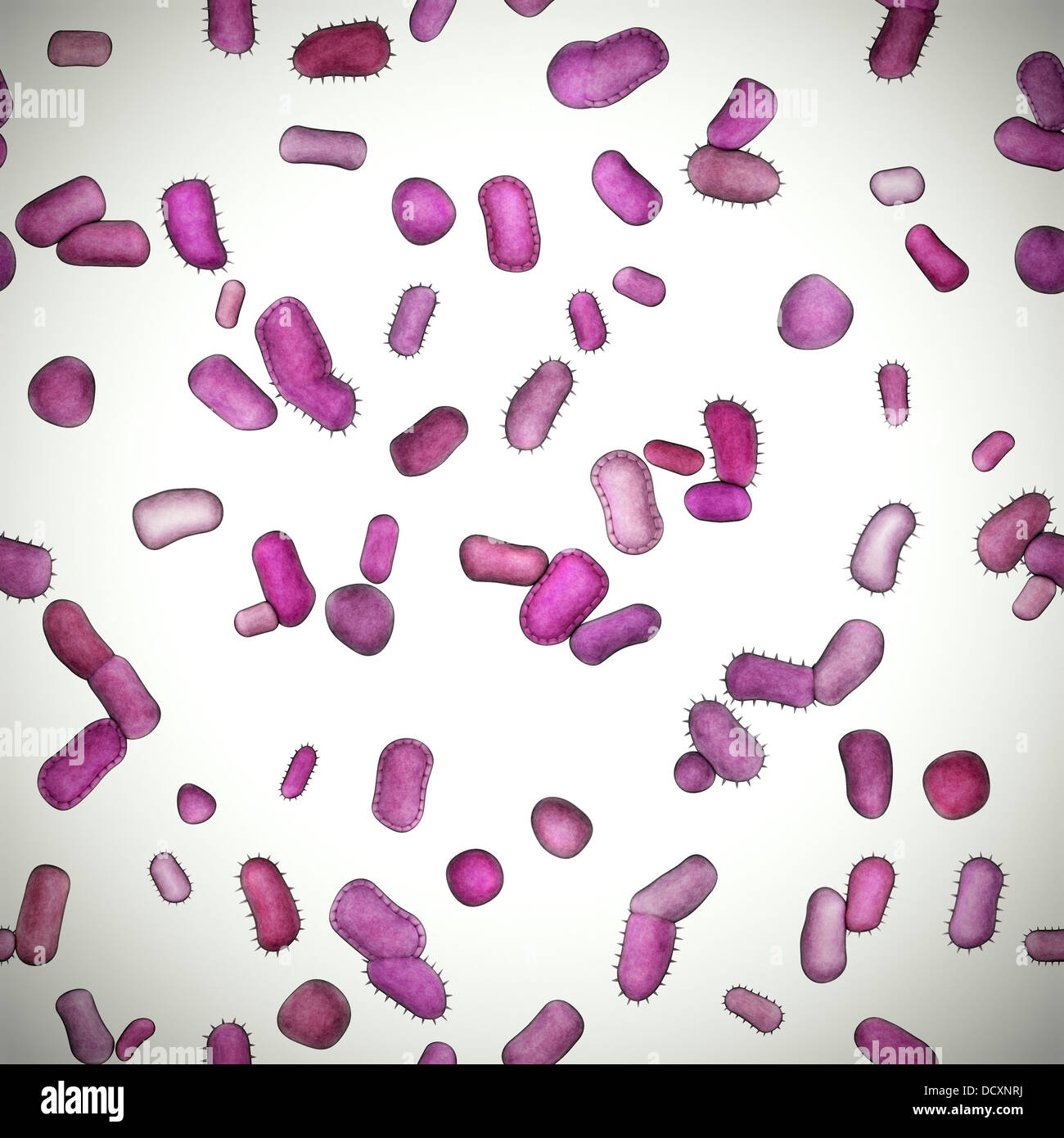 Blood bacteria hi-res stock photography and images - Alamy
