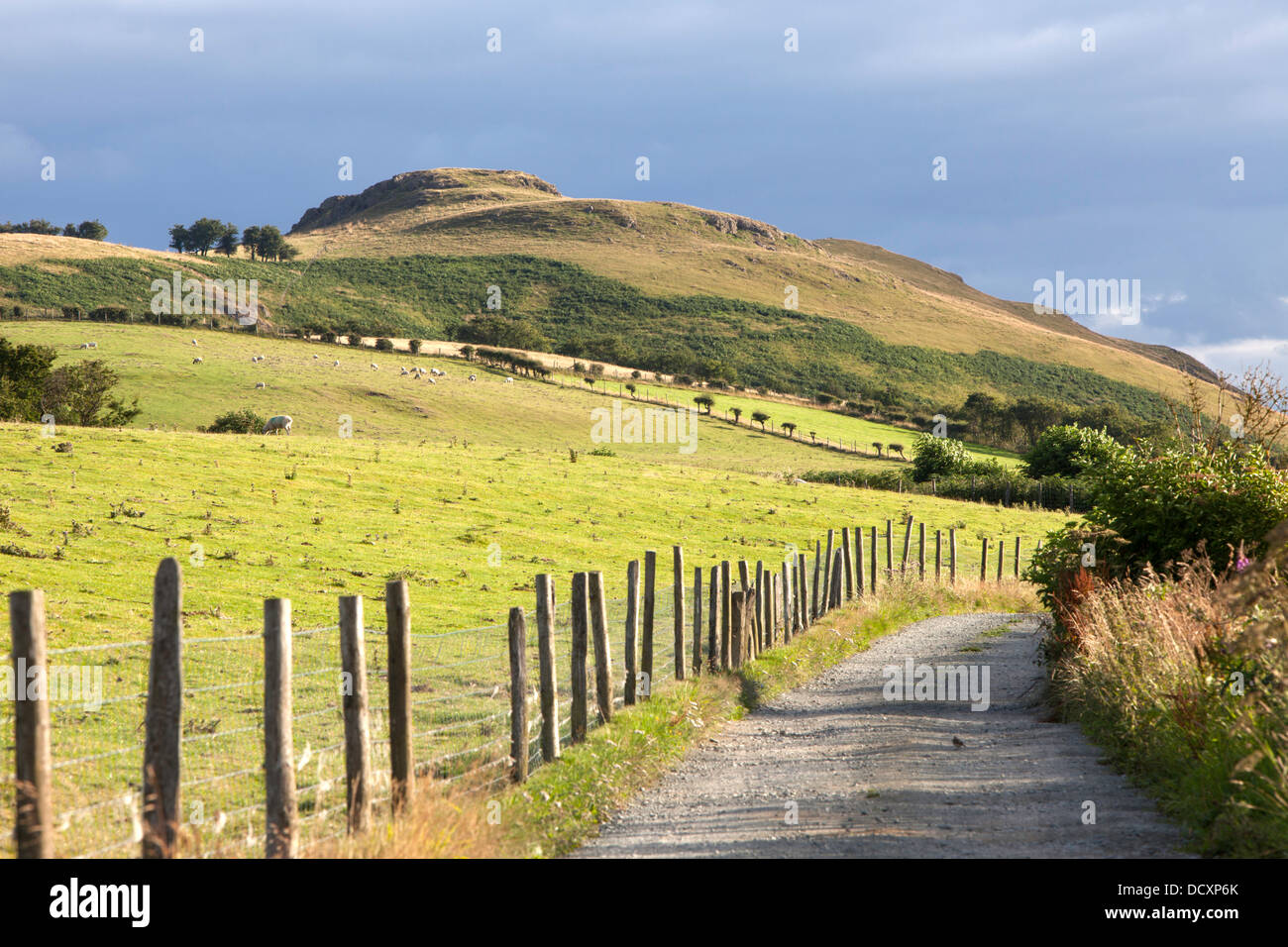 Corndon hill powys hi-res stock photography and images - Alamy