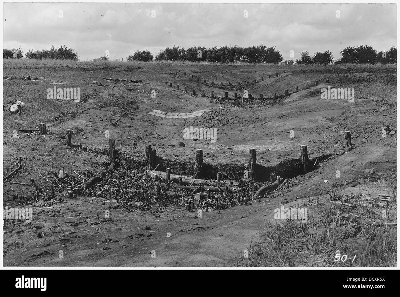 This image shows a gully with drop-in wire dams, a technique used for ...