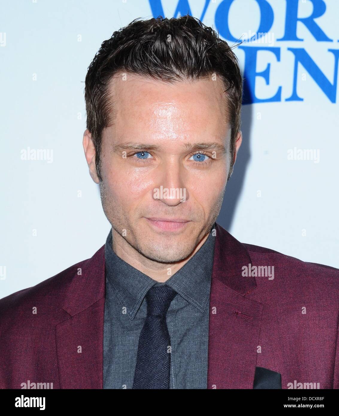 Los Angeles, CA. 21st Aug, 2013. Seamus Dever at arrivals for THE WORLD ...