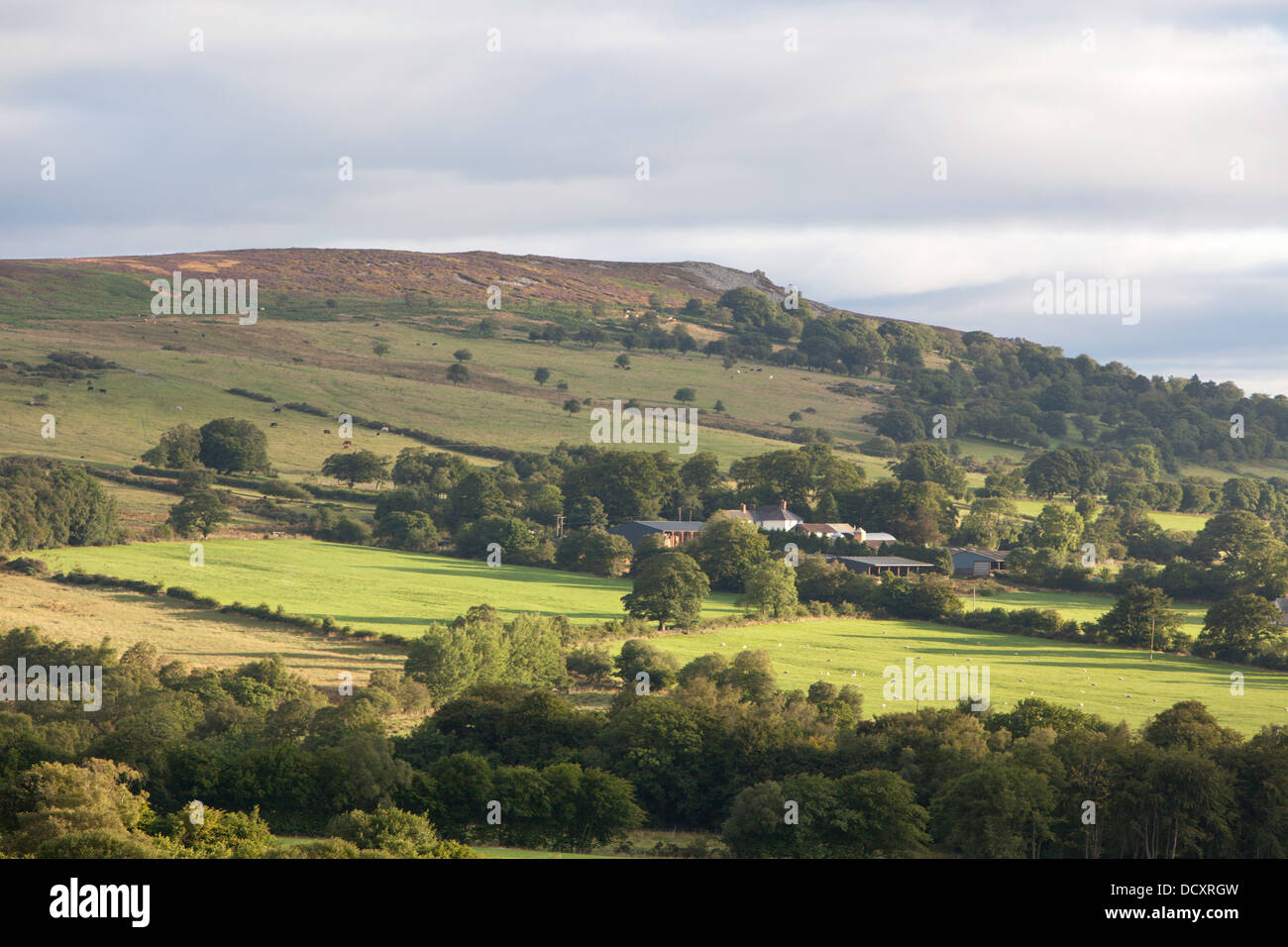 Nipstone rock reserve hi-res stock photography and images - Alamy