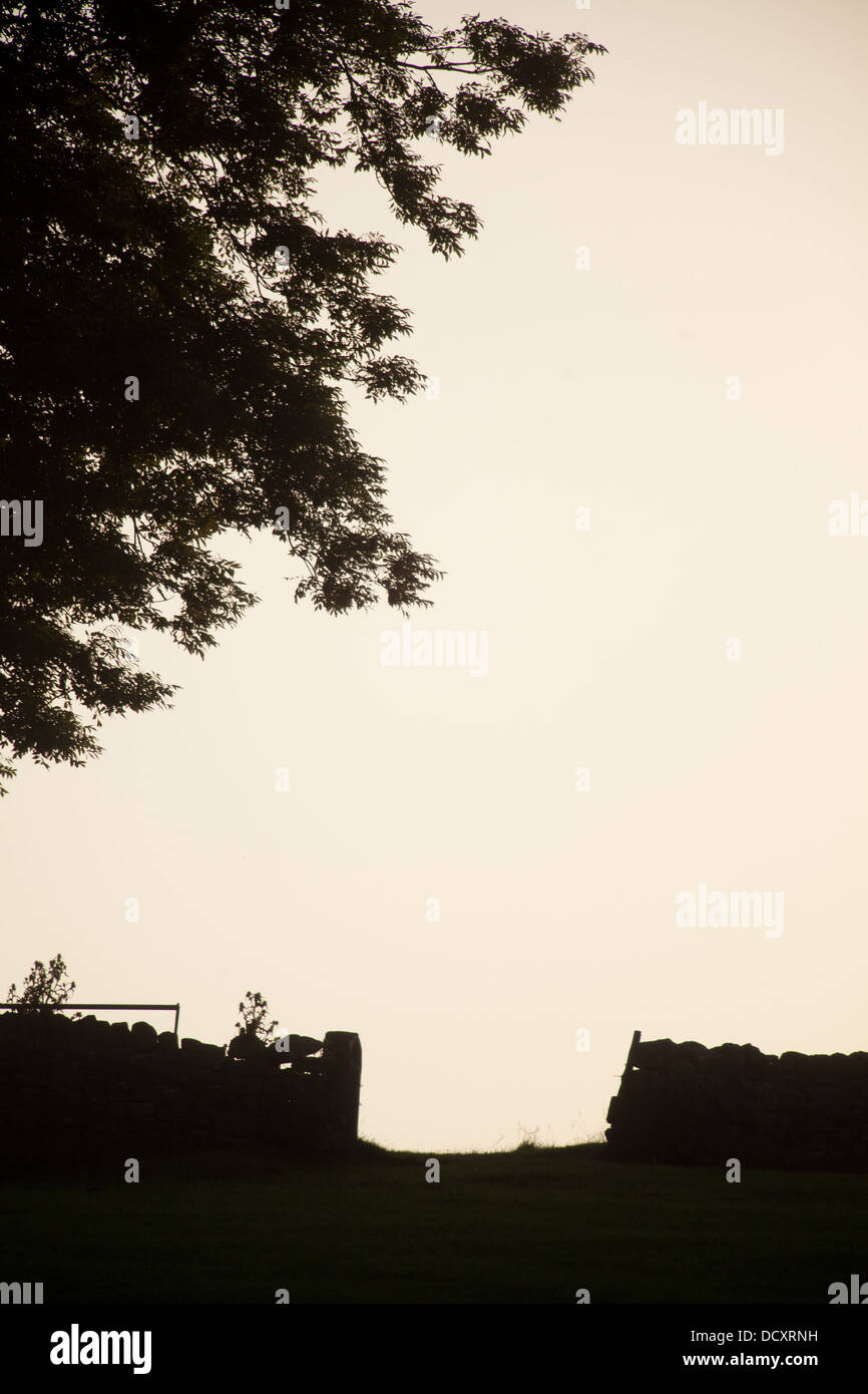 tree sun sunset horizon silhouette nature Stock Photo - Alamy