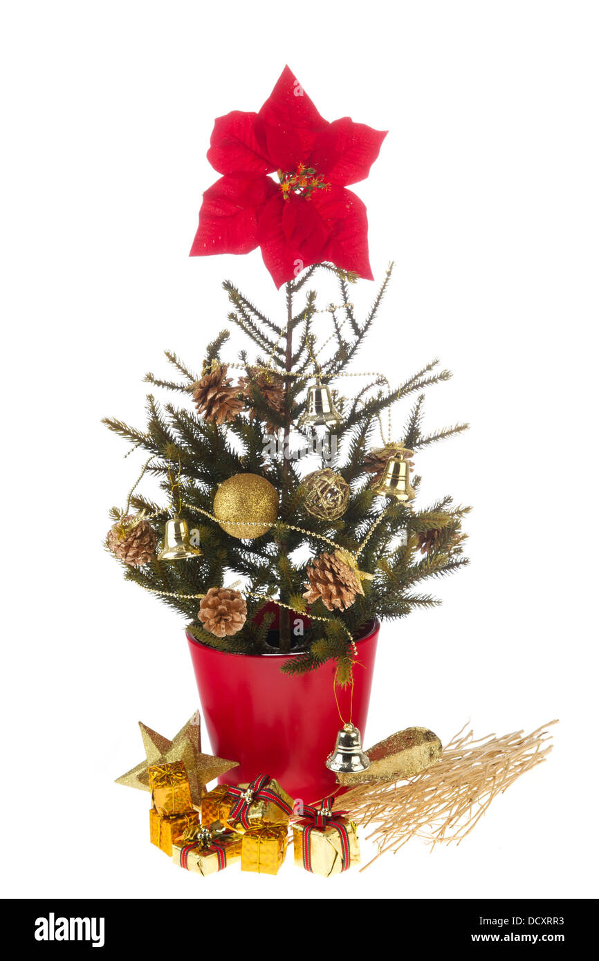 Poinsettia flower christmas tree Cut Out Stock Images & Pictures - Alamy