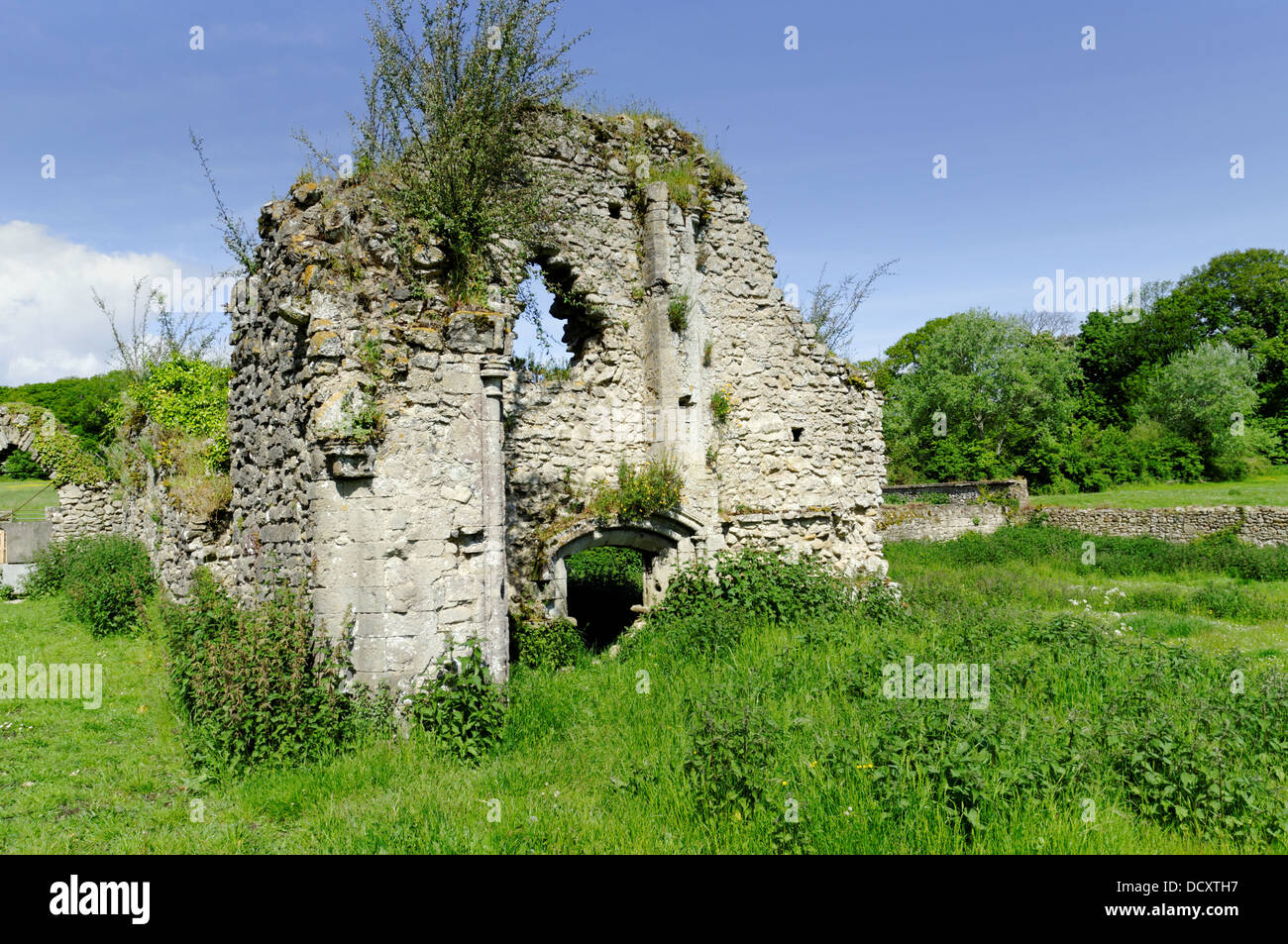 Quarr Abbey Ruins, Dissolution of the Monasteries, Wooten Bridge, Ryde ...