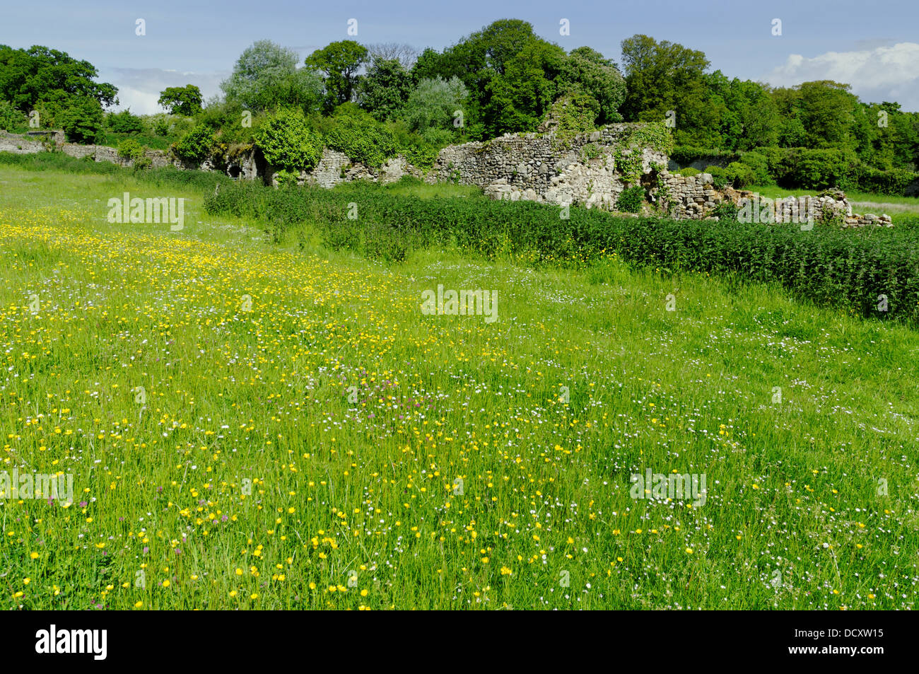 Quarr Abbey Ruins, Dissolution of the Monasteries, Wooten Bridge, Ryde ...
