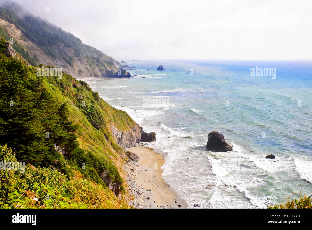 Along the shores of California in summer Stock Photo - Alamy