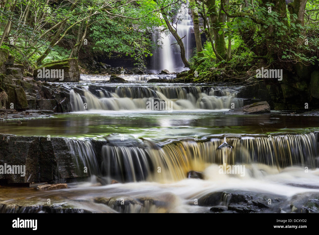 The summerhill force waterfall bowlees hi-res stock photography and ...