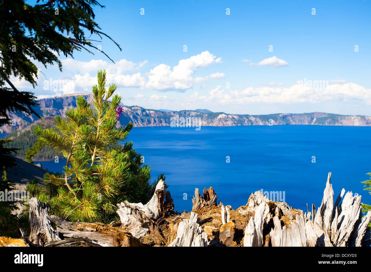 Crater lake view hi-res stock photography and images - Alamy