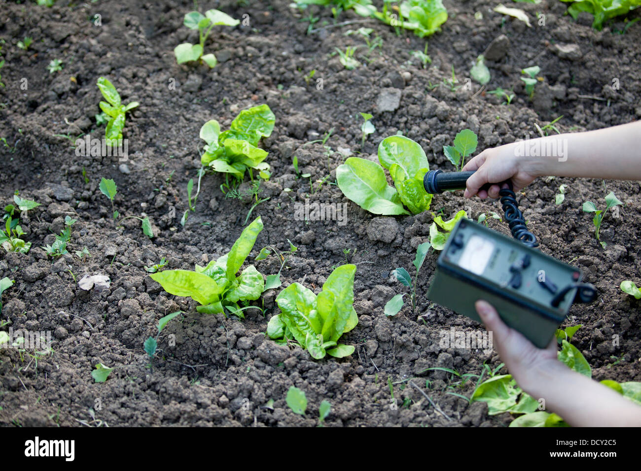 Plant breeding radiation hi-res stock photography and images - Alamy