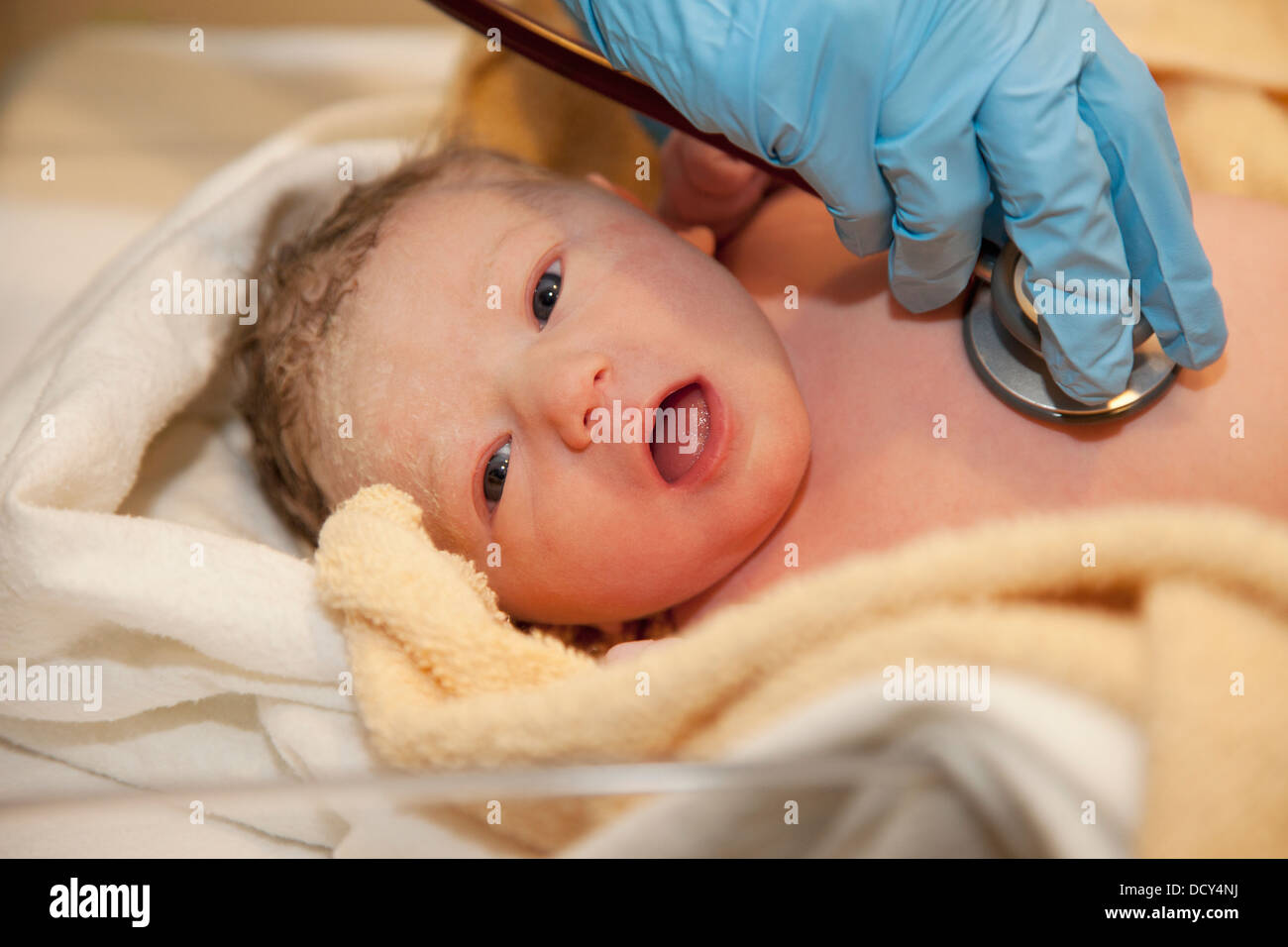 Doctor Checking Newborn Baby Girl; Edmonton, Alberta, Canada Stock ...