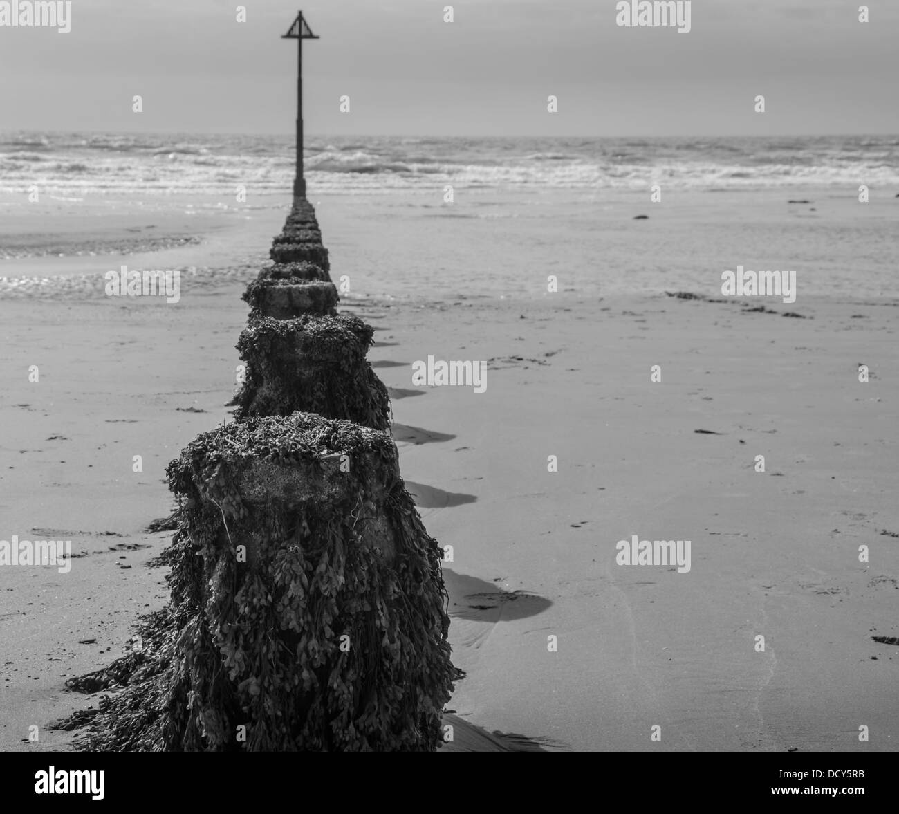 Black and White Photograph Sea Breakers On Sandy Beach Stock Photo - Alamy