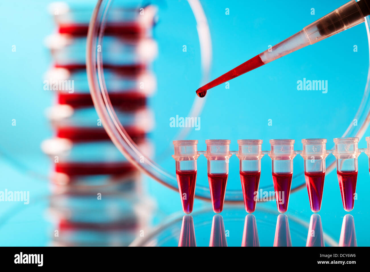 Lab to table hi-res stock photography and images - Alamy